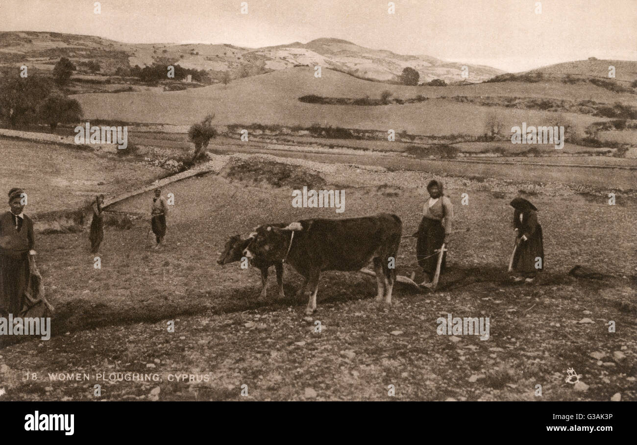 Women Ploughing - Cyprus Stock Photo - Alamy