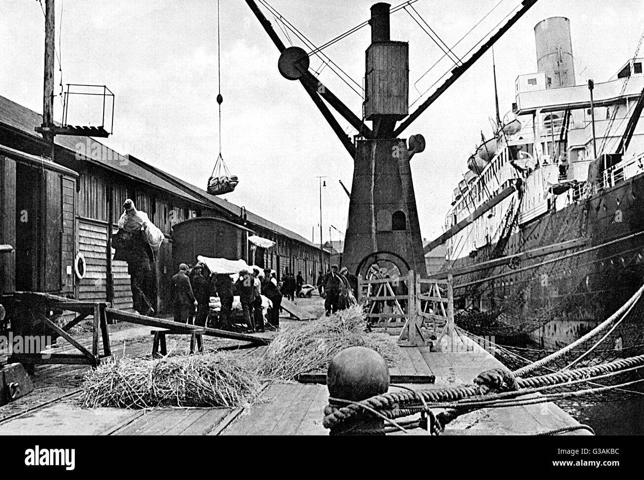 Commandeering meat for the army during World War I Stock Photo - Alamy