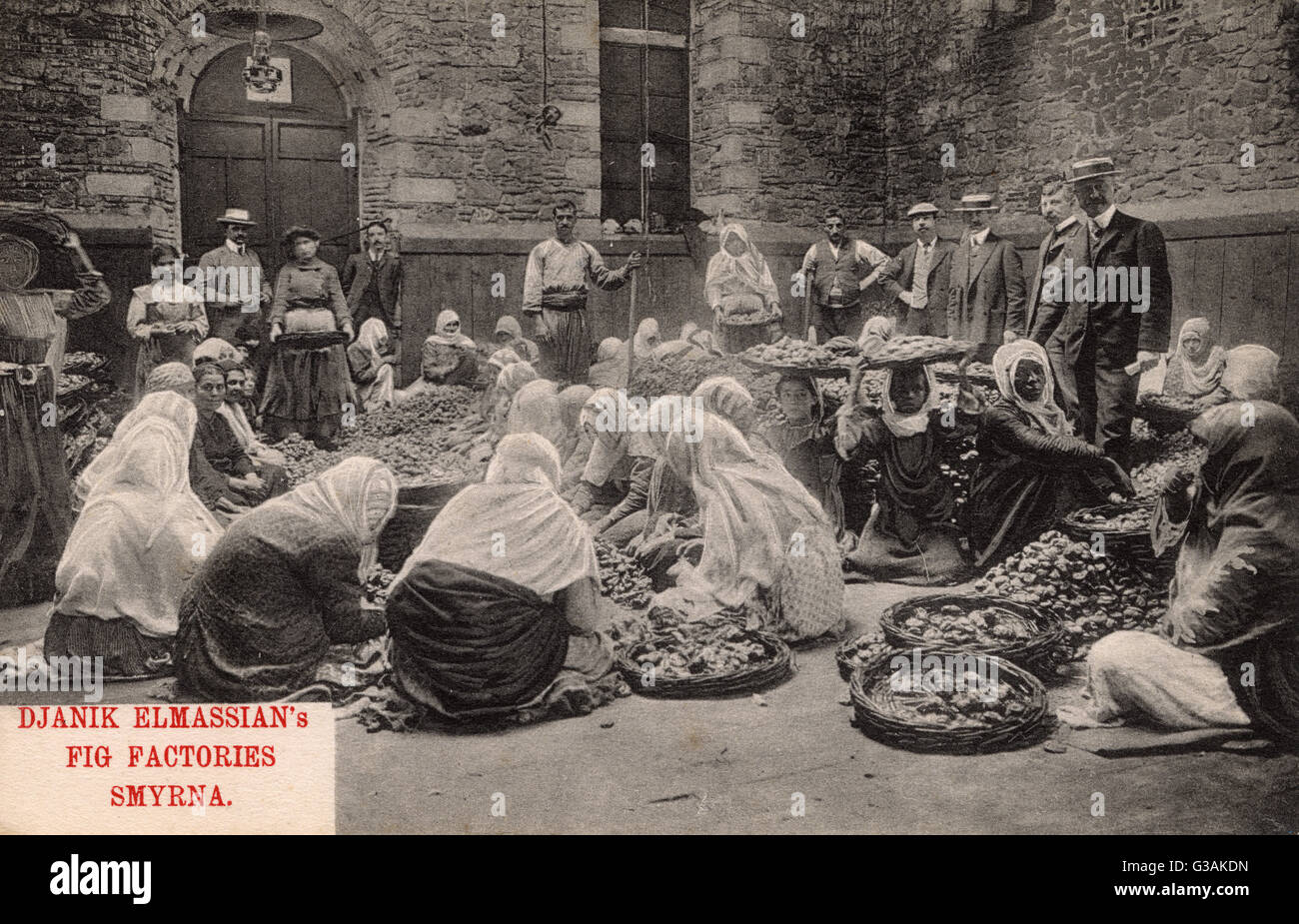 Fig sorting - Djanik Elmassian Fig Factory, Izmir, Turkey Stock Photo ...