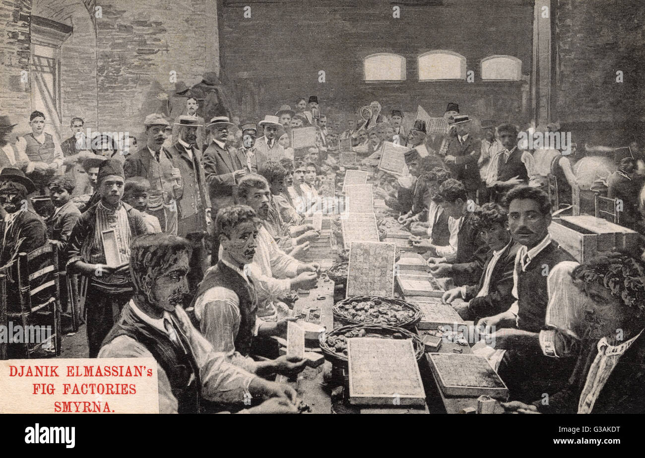 Fig packing - Djanik Elmassian Fig Factory, Izmir, Turkey Stock Photo ...