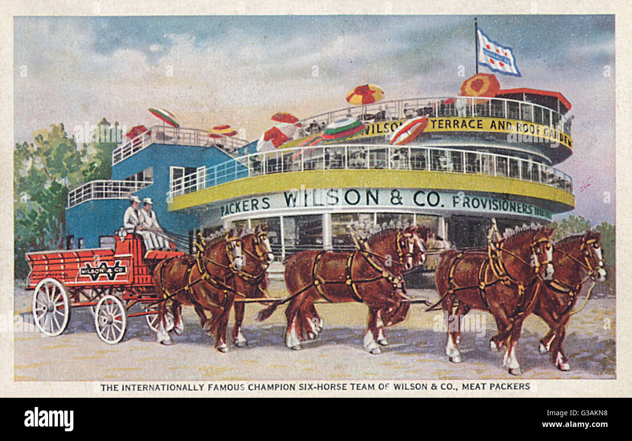 Champion the horse hi-res stock photography and images - Alamy