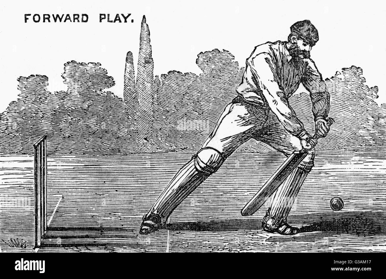 Cricket Forward Play Shot Stock Photo - Alamy