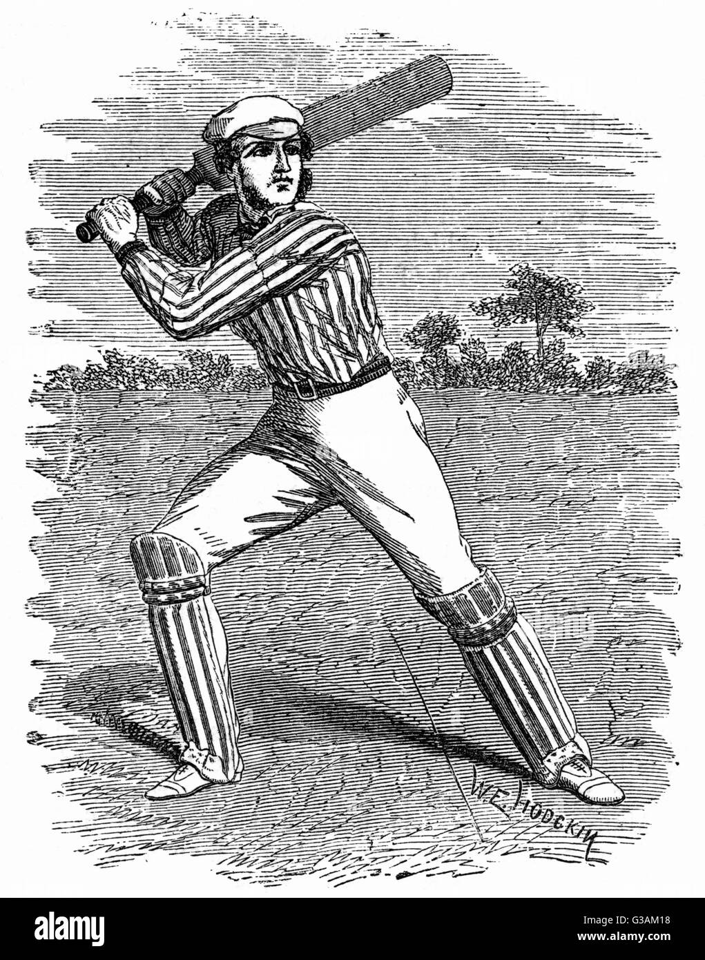 Cricket the Cut Shot Stock Photo - Alamy