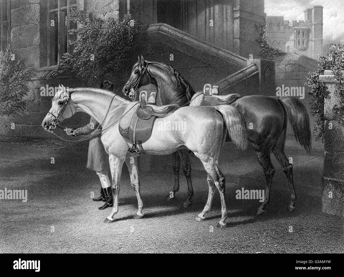 One arab Black and White Stock Photos & Images - Alamy