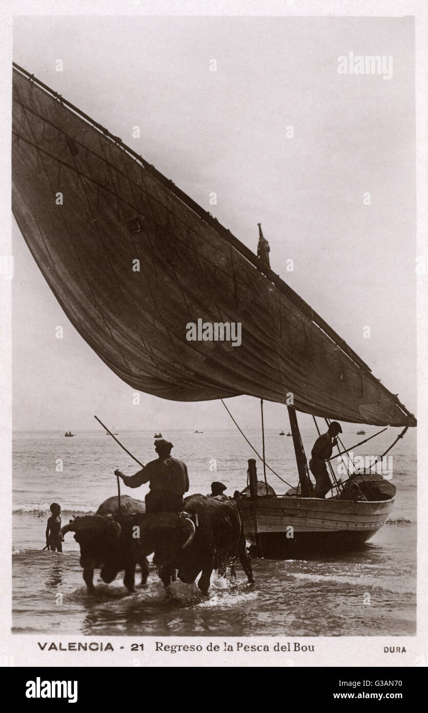 The return of the fishing trawler - Valencia, Spain Stock Photo - Alamy