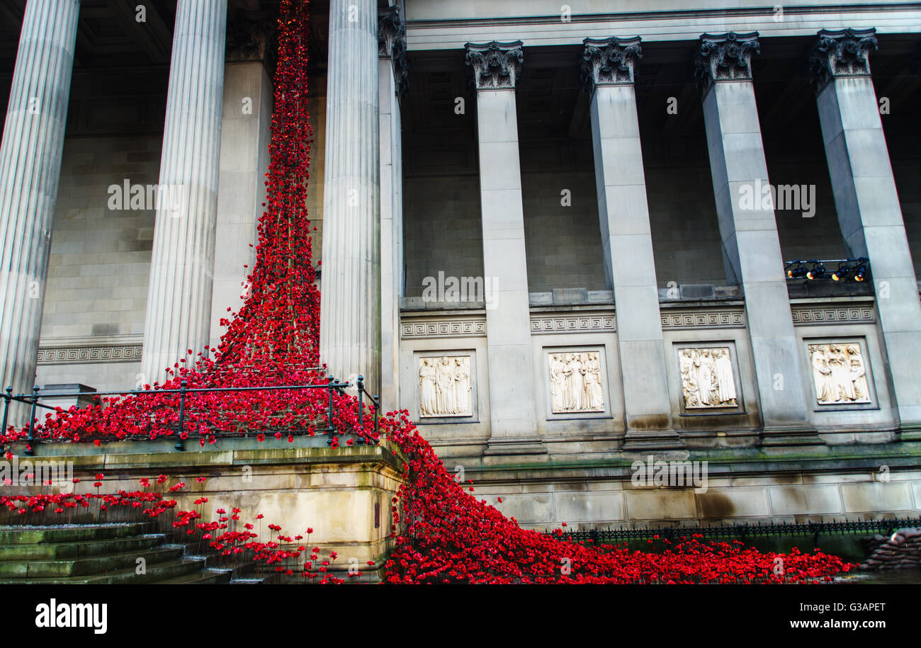 Remembrance Poppies, ceramic work of art by Paul Cummins and Tom Piper ...