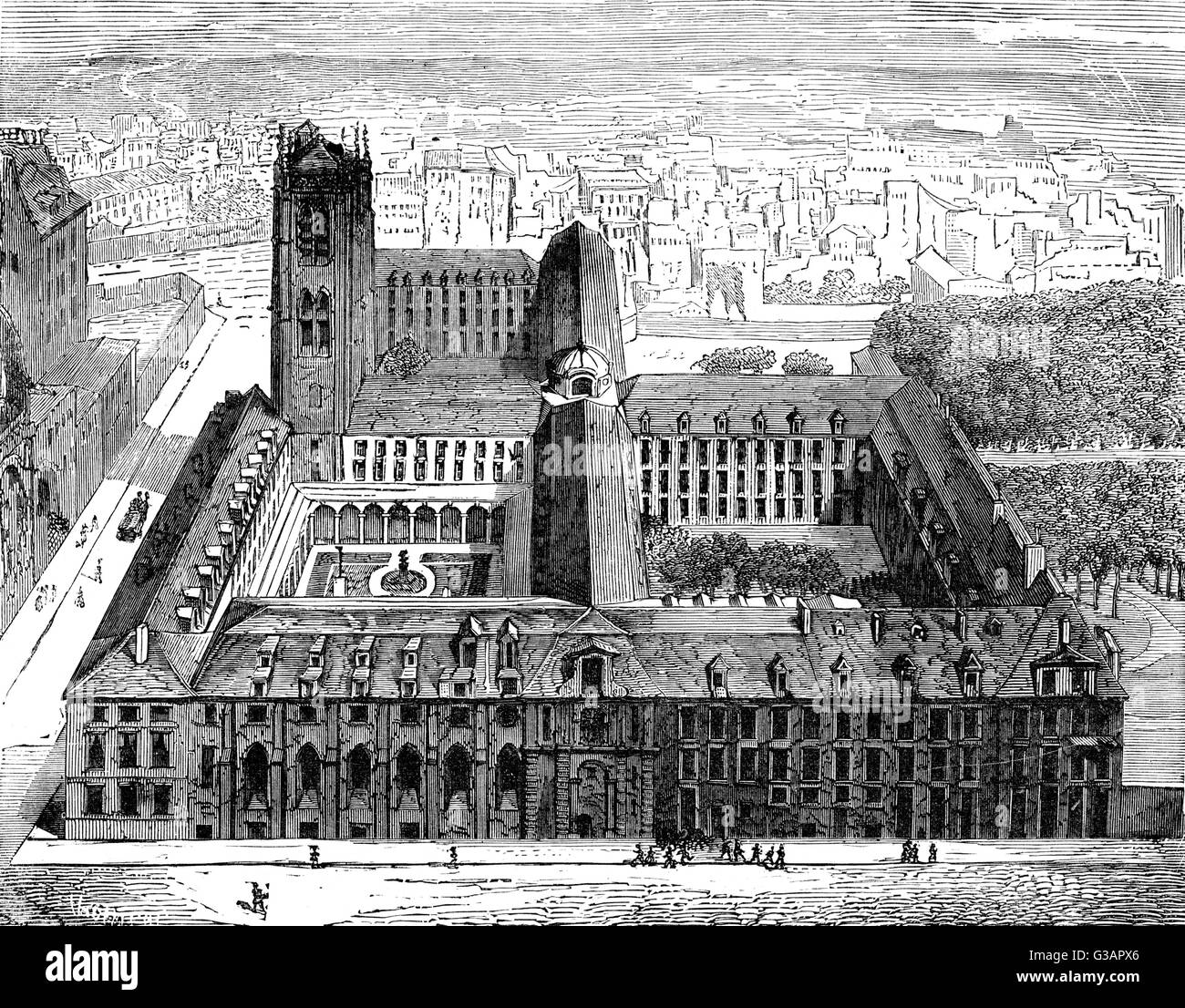 Colvis hi-res stock photography and images - Alamy