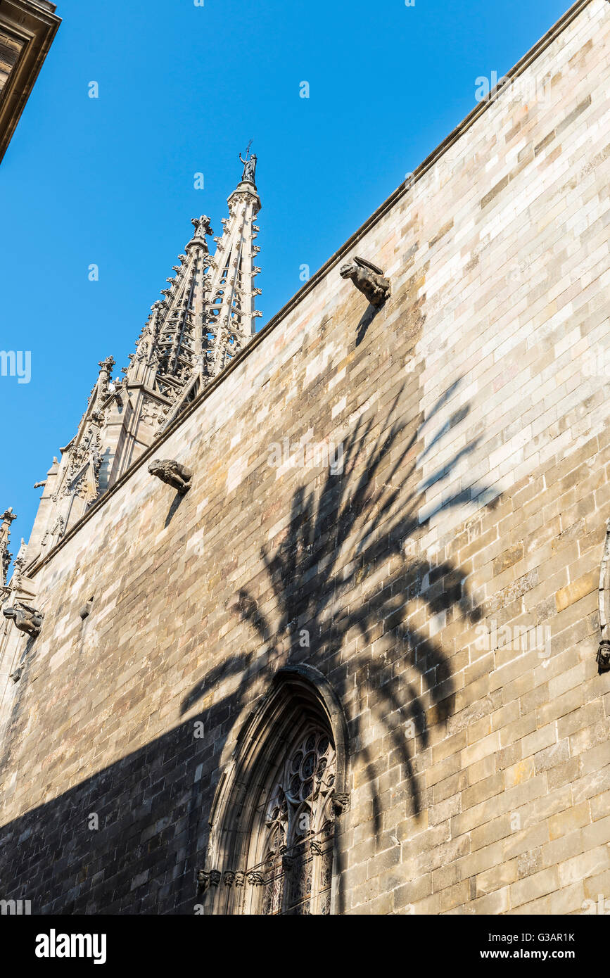 Shadow of a palm on a stone wall of the cathedral of Barcelona ...