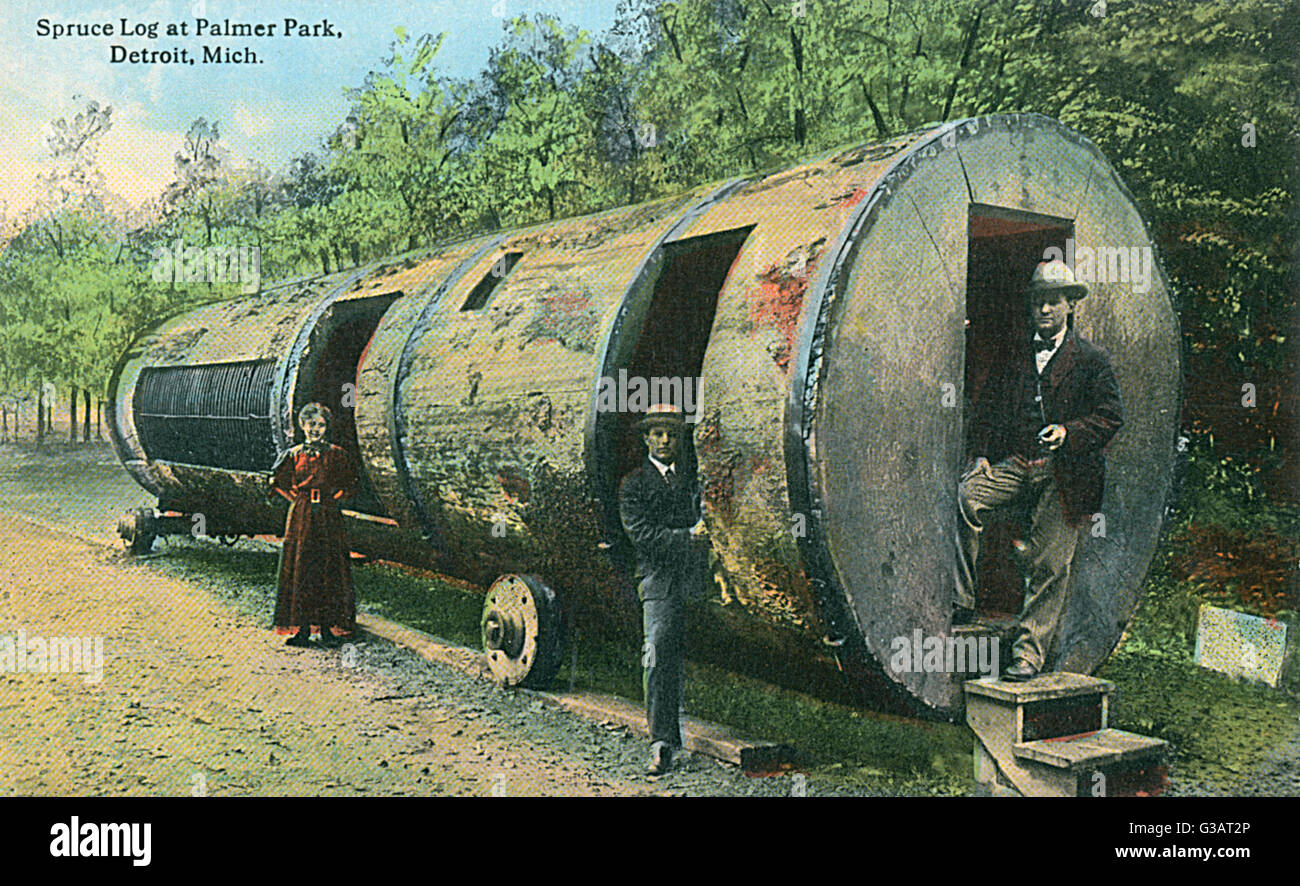 Spruce Log, Palmer Park, Detroit, Michigan, USA Stock Photo - Alamy