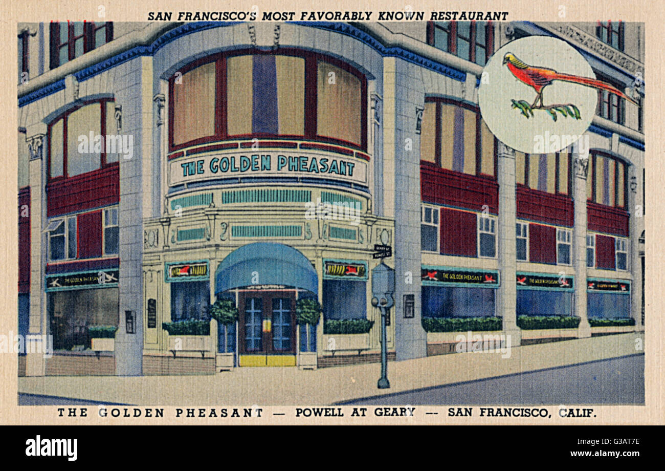 Golden Pheasant, San Francisco, California, USA Stock Photo - Alamy