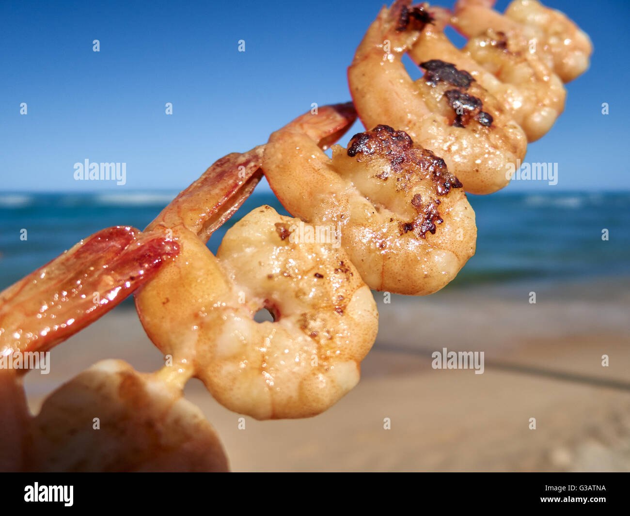 Shrimp in beach Stock Photo - Alamy