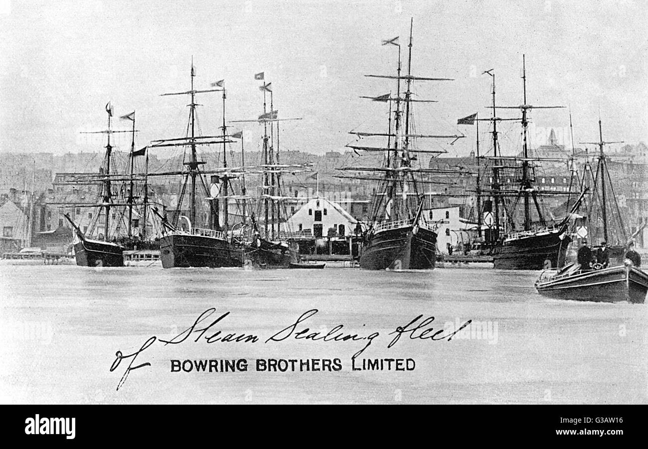 St. Johns, Newfoundland, Canada - Bowling Bros Sealing Fleet Stock ...