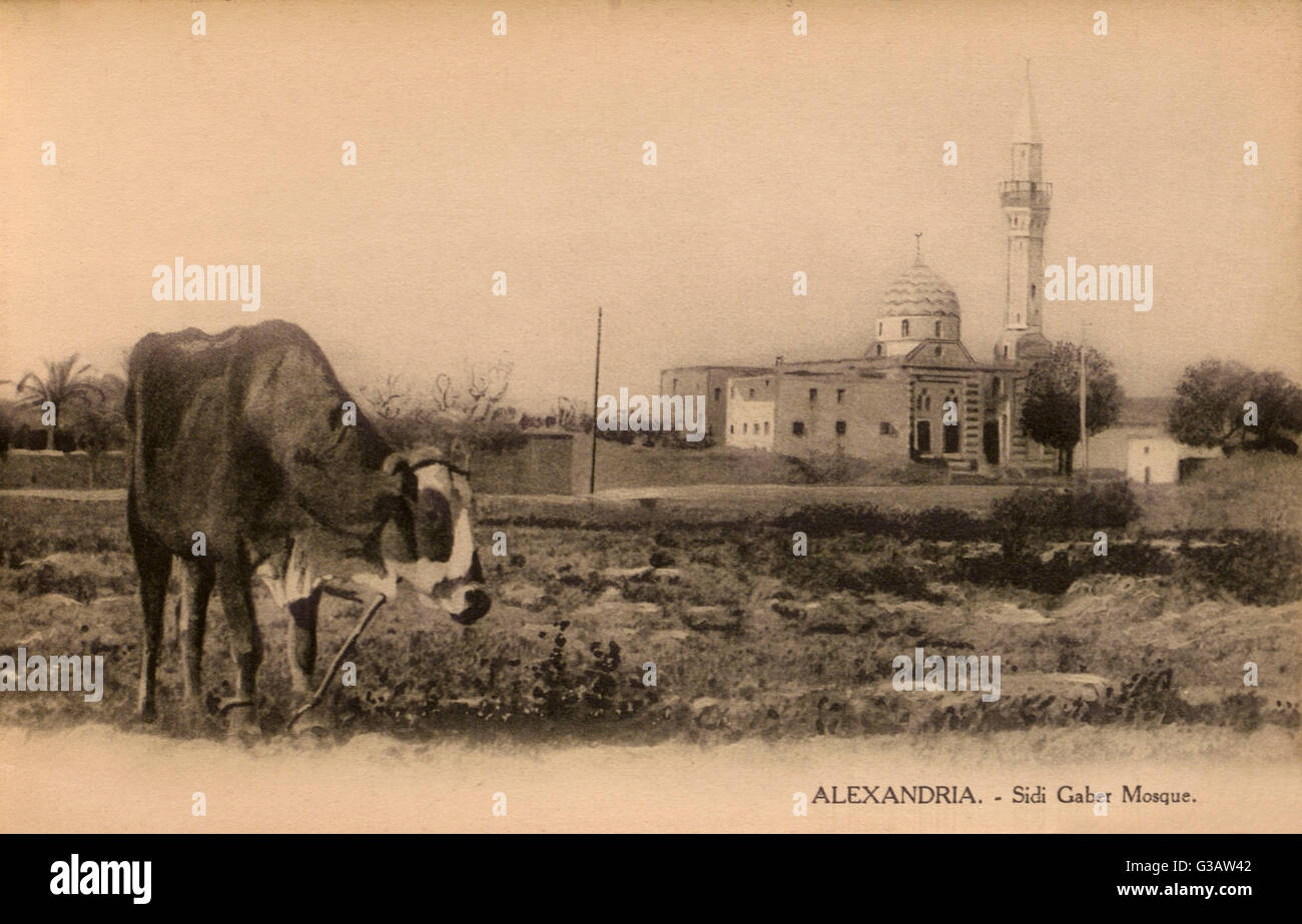 Alexandria, Egypt - Sidi Gaber Mosque Stock Photo - Alamy
