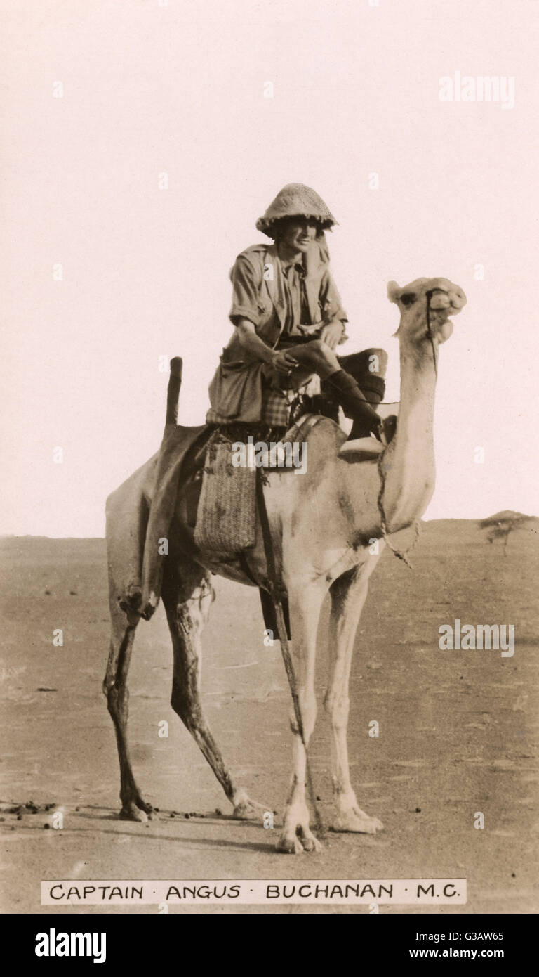 Captain Angus Buchanan on a camel in Mesopotamia Stock Photo - Alamy