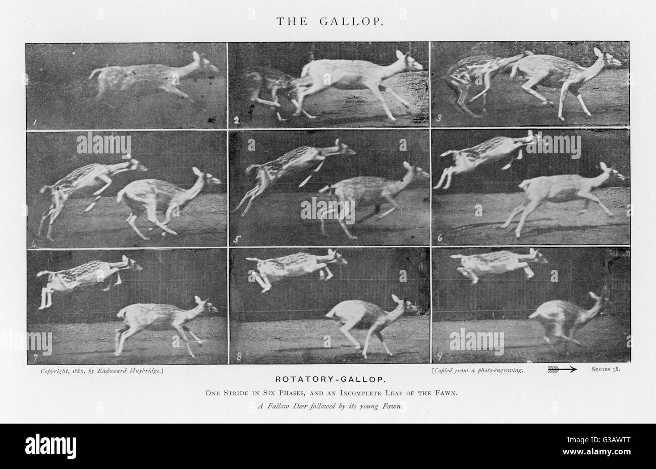 Rotatory hi-res stock photography and images - Alamy