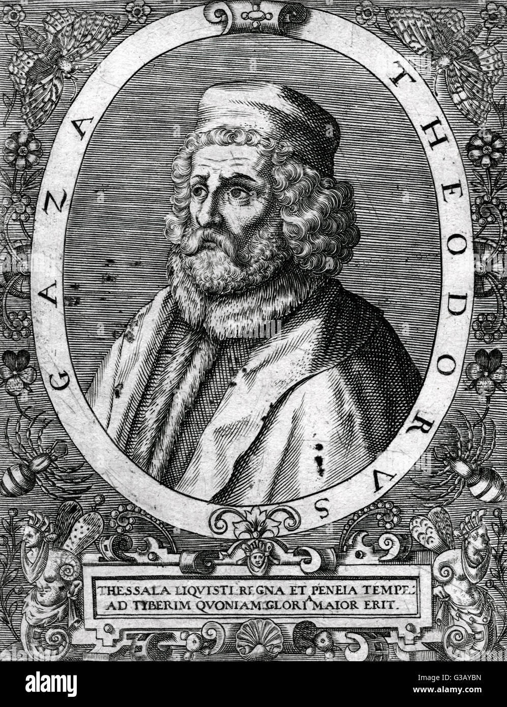 Theodorus High Resolution Stock Photography and Images - Alamy