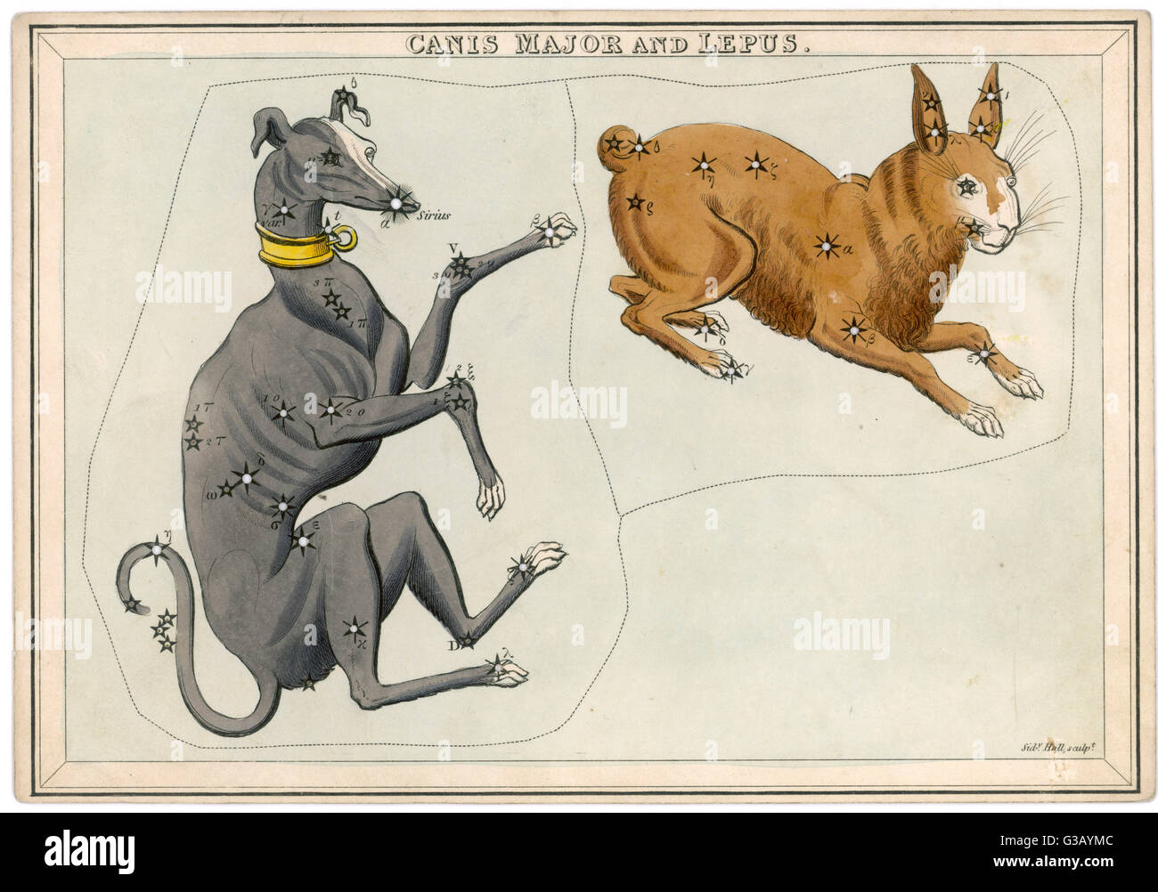 CANIS MAJOR STAR MAP Stock Photo - Alamy