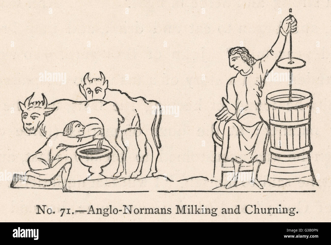 MILKING & CHURNING Stock Photo - Alamy