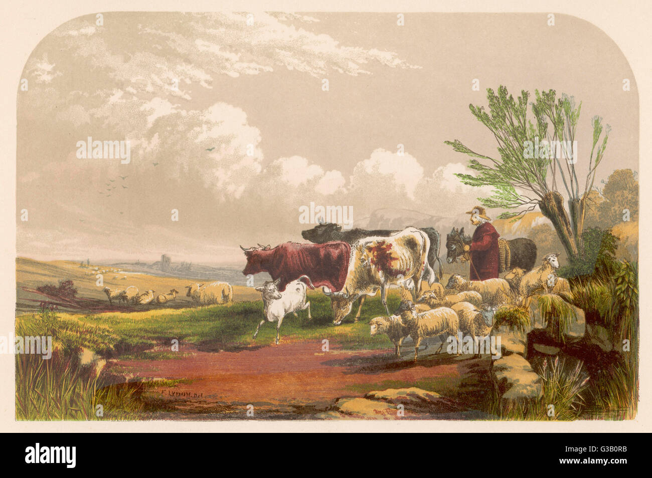 Cattle drover hi-res stock photography and images - Alamy