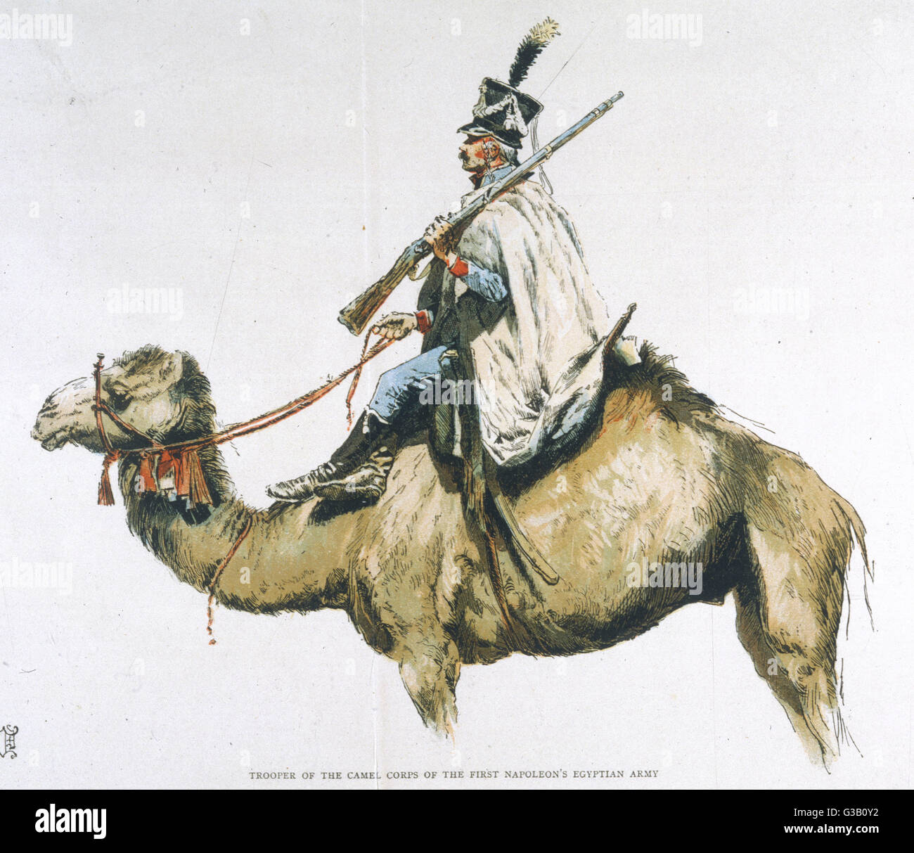 FRENCH CAMEL CORPS 1798 Stock Photo - Alamy