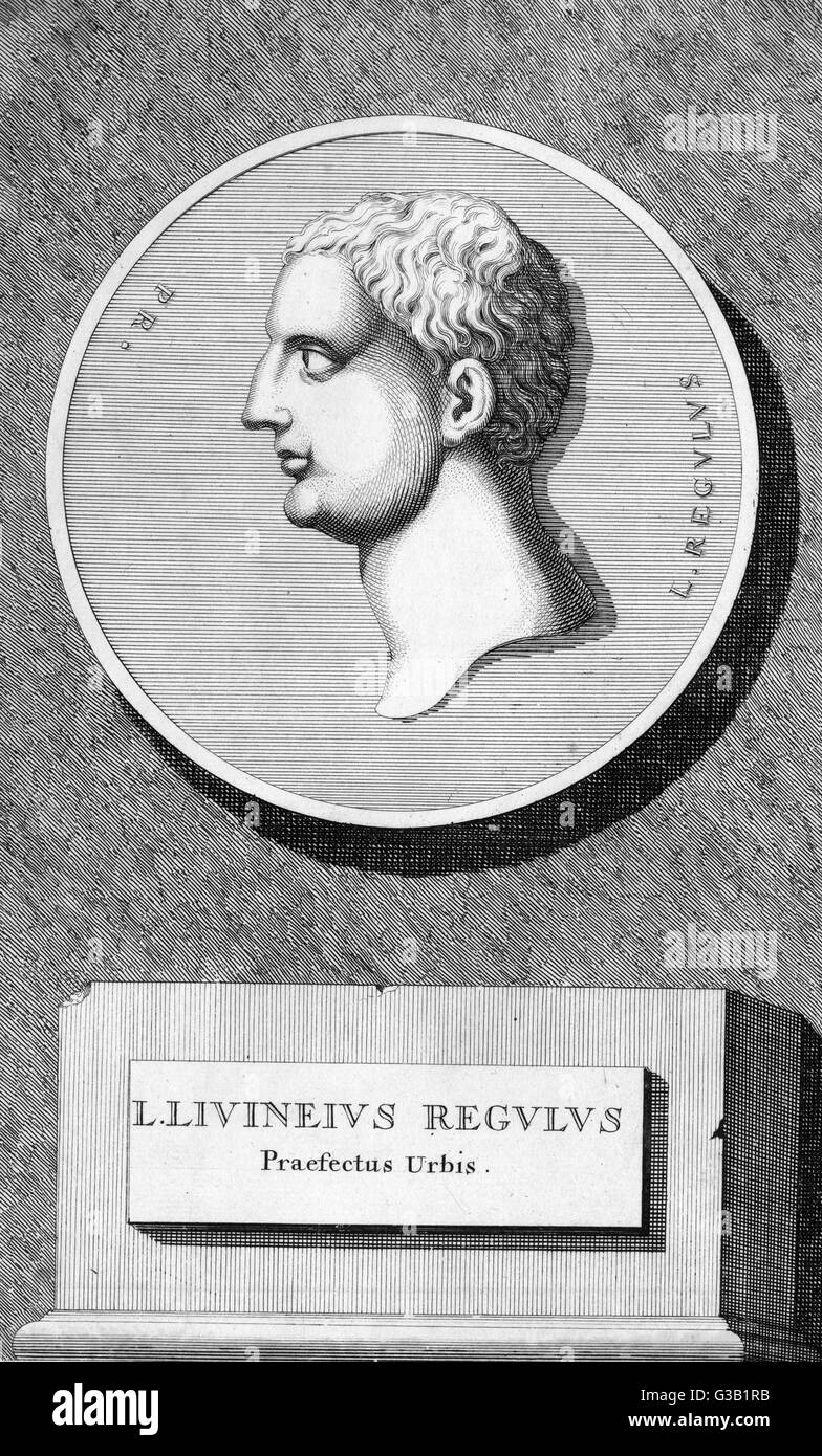 Regulus regulus l Black and White Stock Photos & Images - Alamy