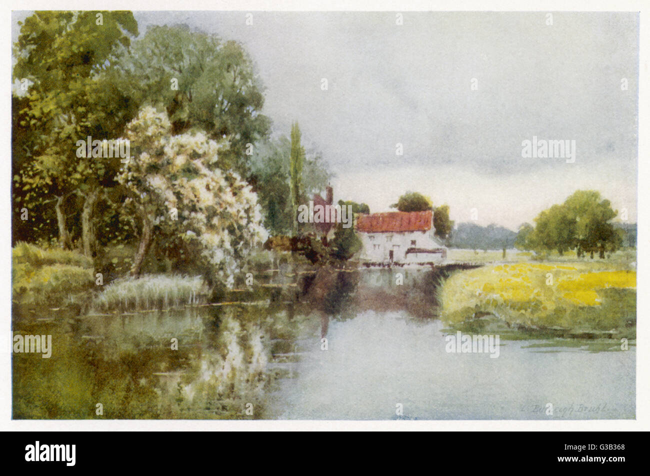 Essex scenery hi-res stock photography and images - Alamy