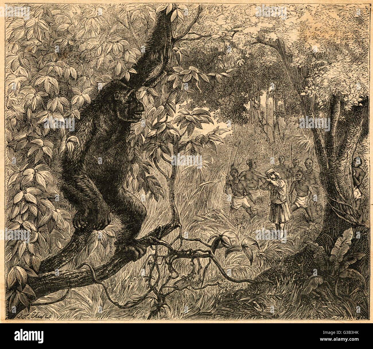 Man hunted hi-res stock photography and images - Alamy