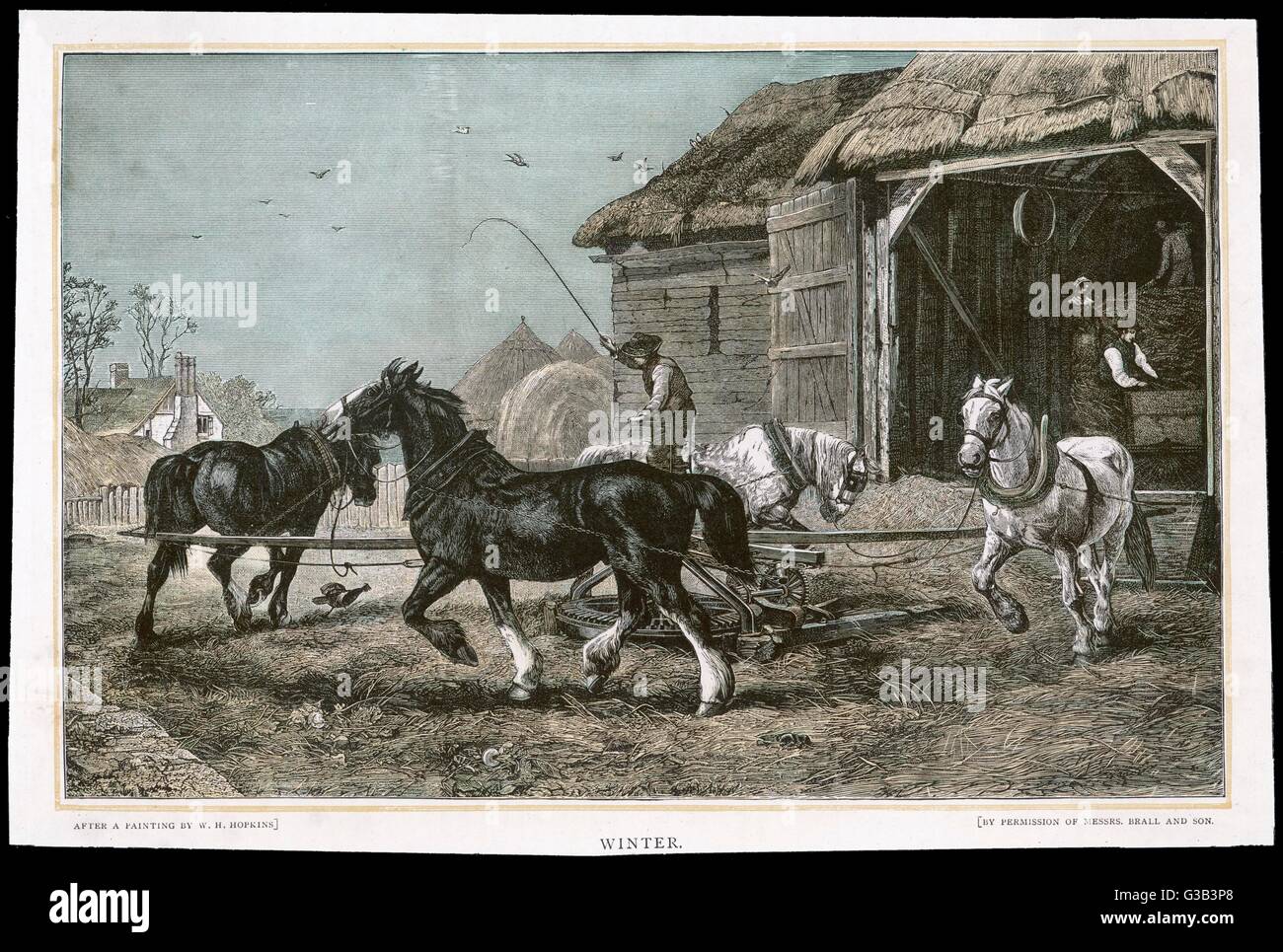 Wheel Threshing Machine Stock Photos & Wheel Threshing Machine Stock ...