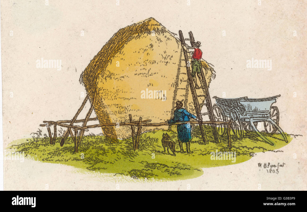 BUILDING A HAYSTACK Stock Photo - Alamy