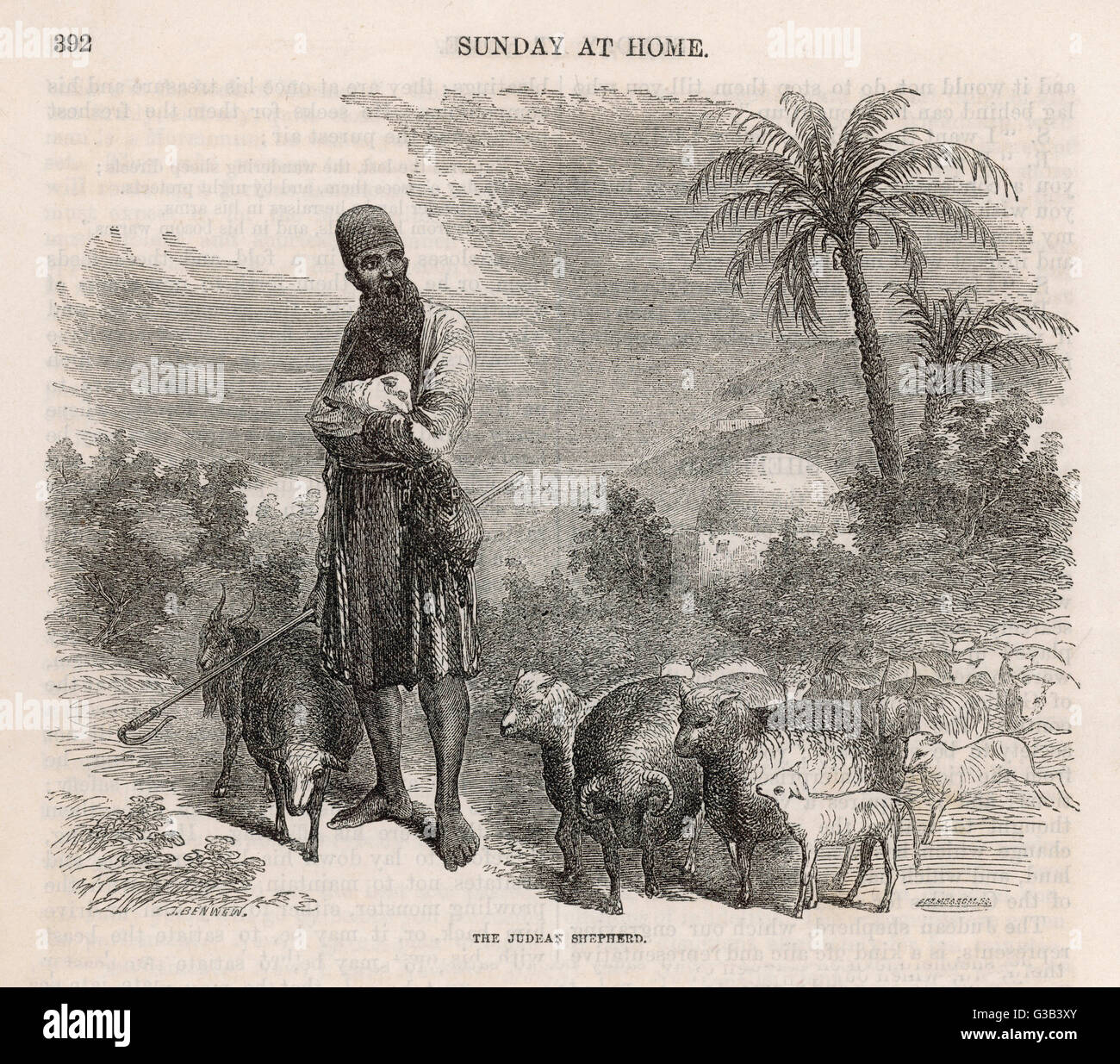 Palestine shepherd hi-res stock photography and images - Alamy