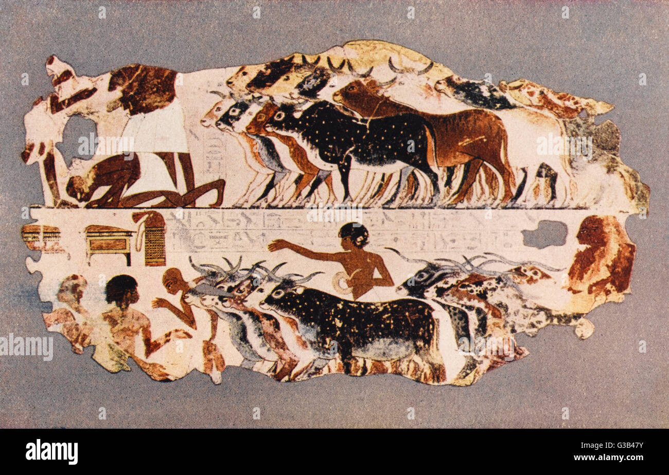 1500 1300 Bc High Resolution Stock Photography and Images - Alamy