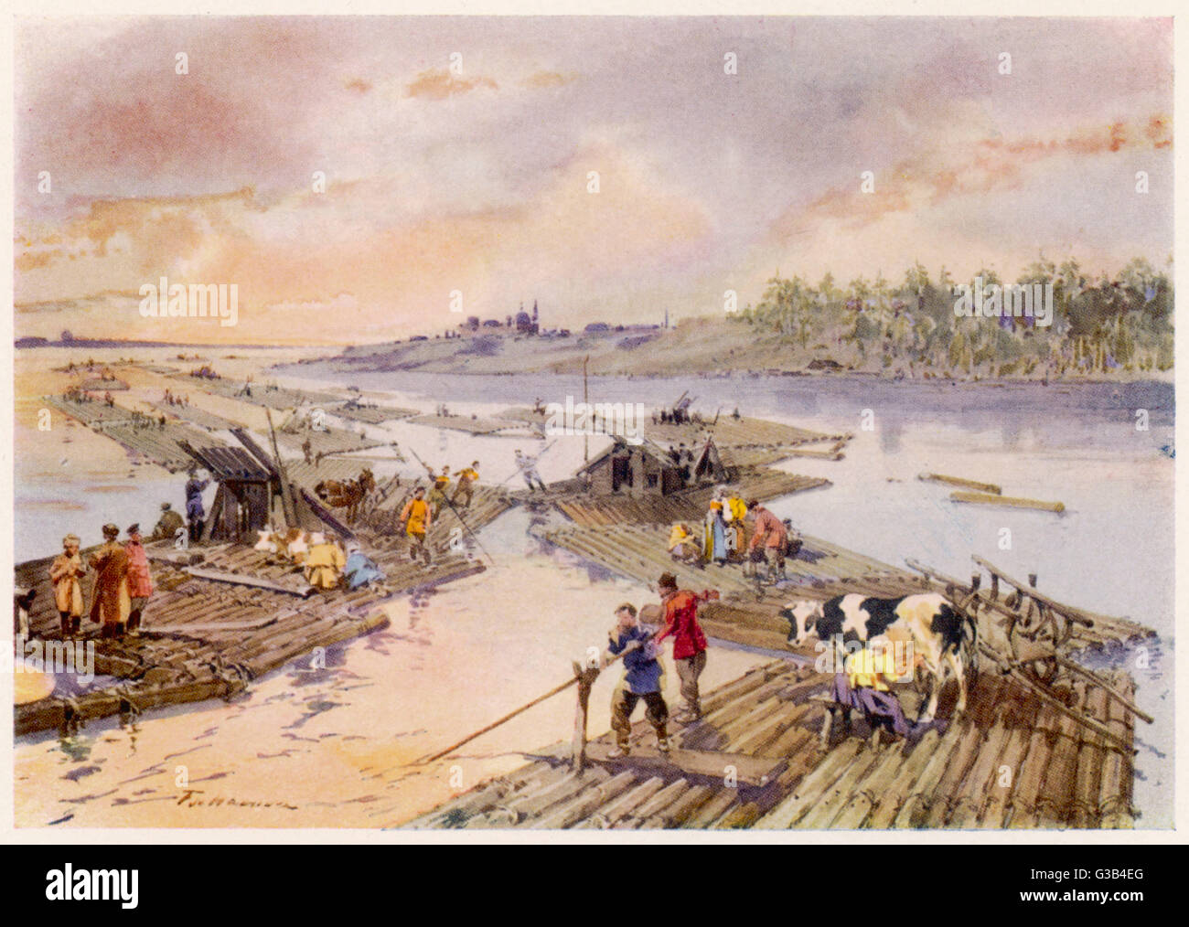 Timber rafts on the Volga. People and cows are transported on these ...