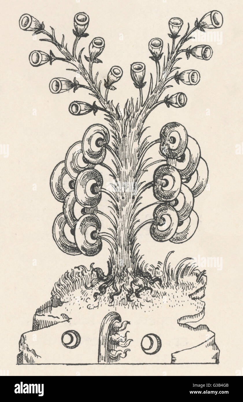 Alchemy the sun and the moon hi-res stock photography and images - Alamy