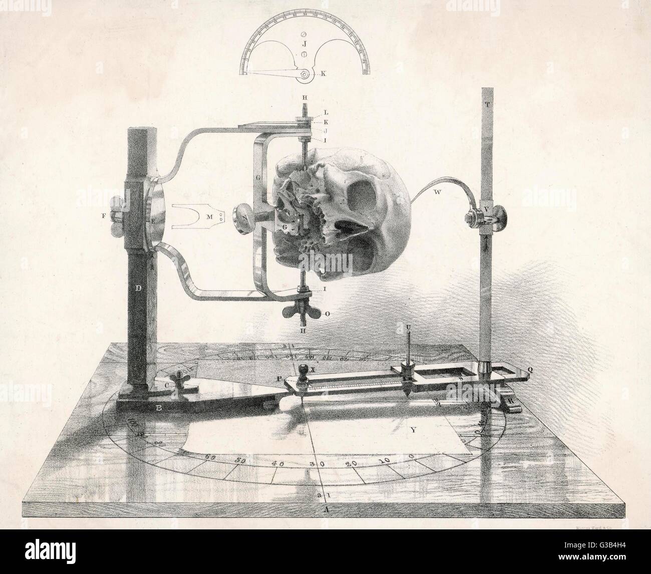 Cranionmeter hi-res stock photography and images - Alamy