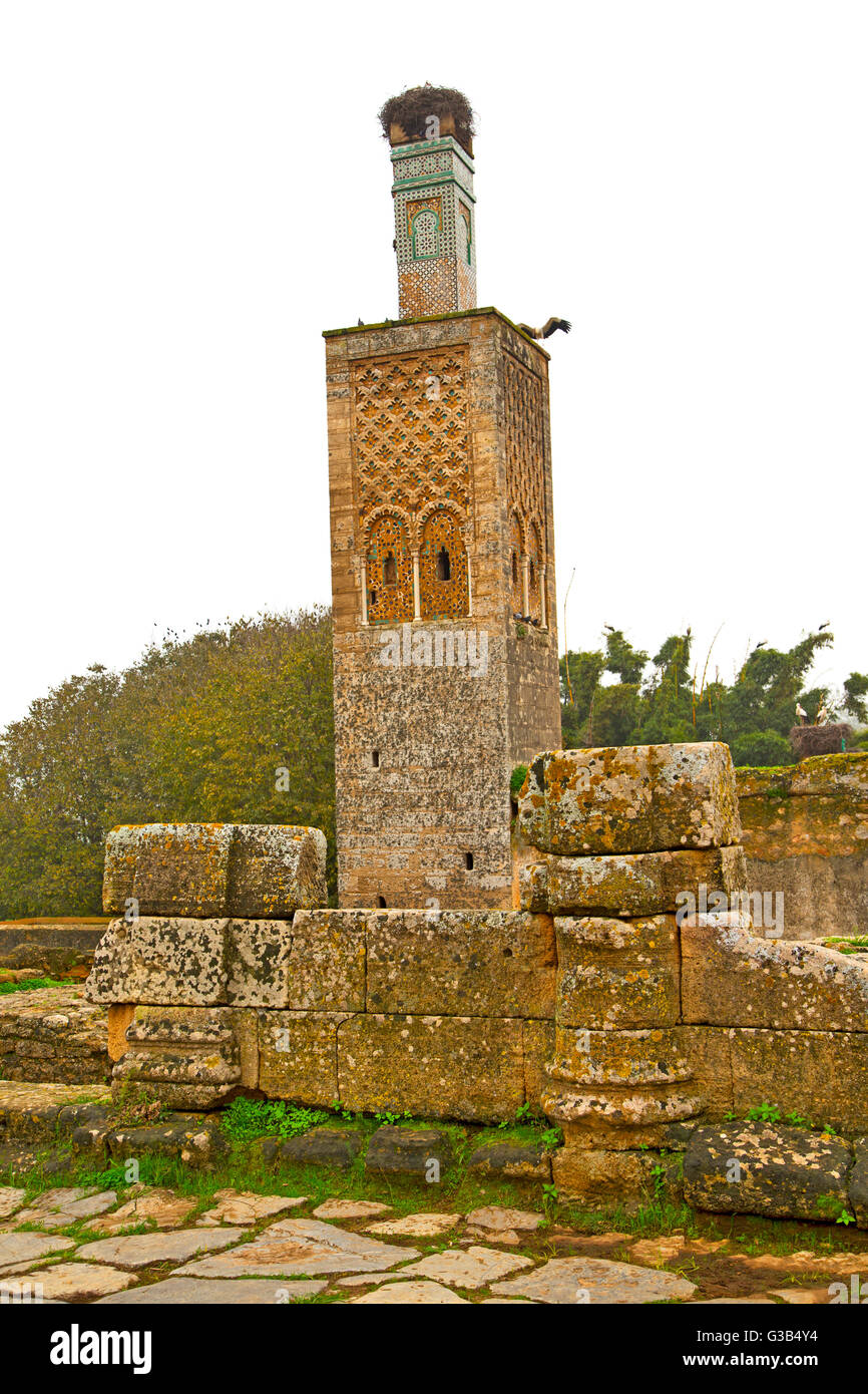 chellah in morocco africa the old roman deteriorated monument and site ...
