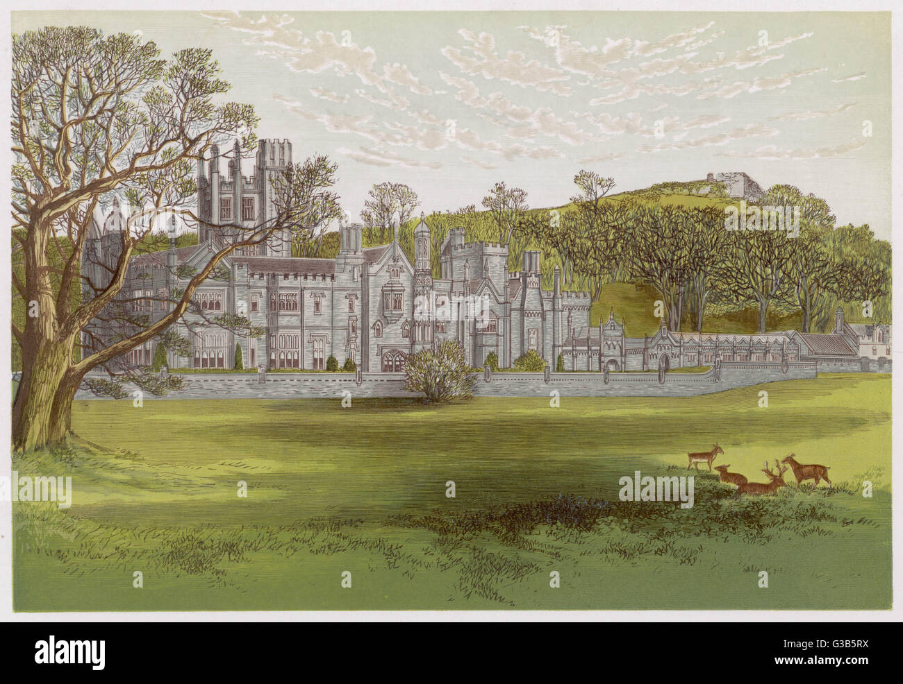 Margam Abbey, Wales High Resolution Stock Photography and Images - Alamy
