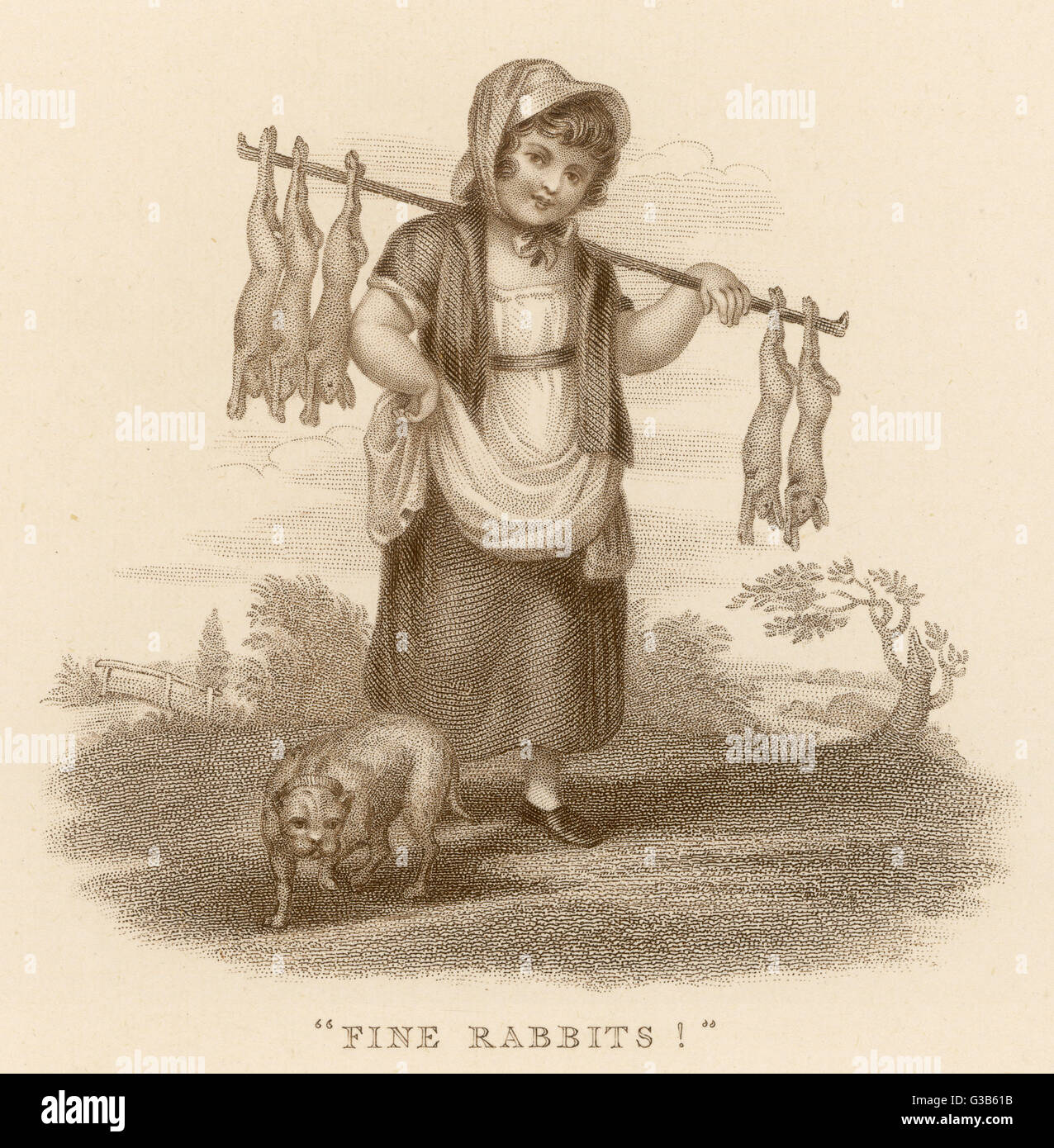 FINE RABBITS FOR SALE Stock Photo - Alamy