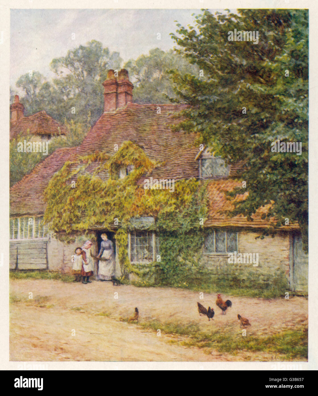 Haslemere fish hi-res stock photography and images - Alamy