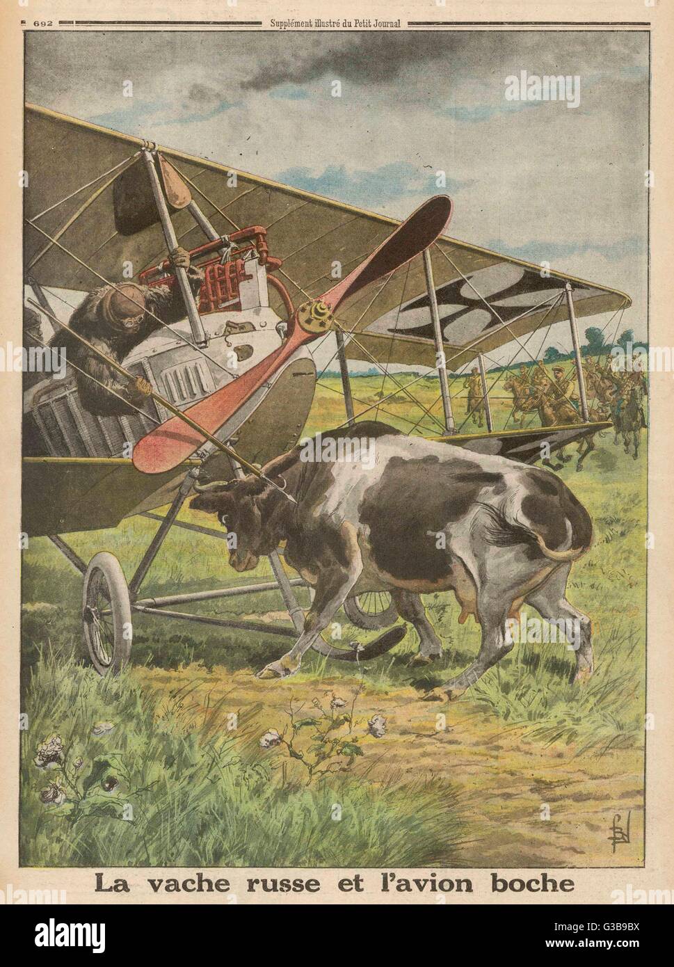 PLANE MEETS COW Stock Photo - Alamy