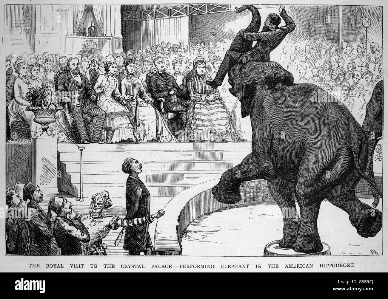 Performing Elephant High Resolution Stock Photography and Images - Alamy