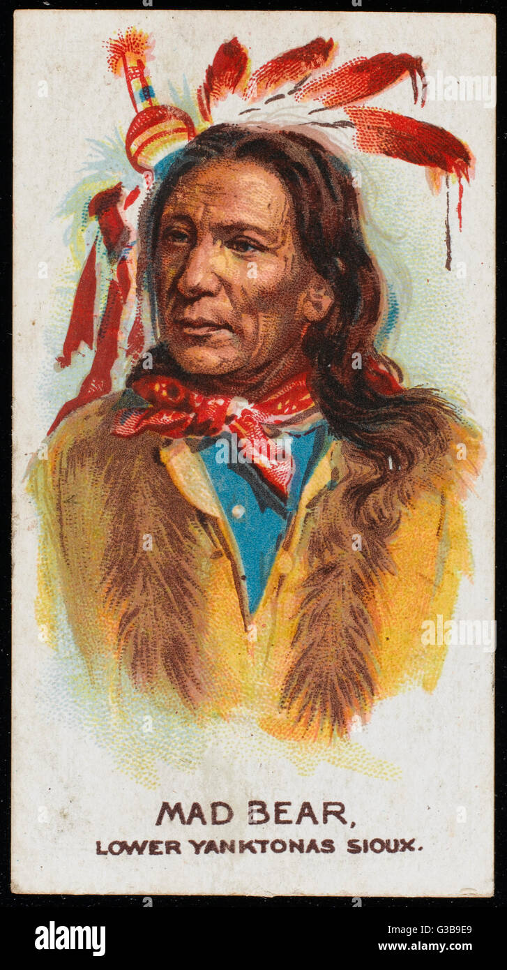 Bear mad hi-res stock photography and images - Alamy