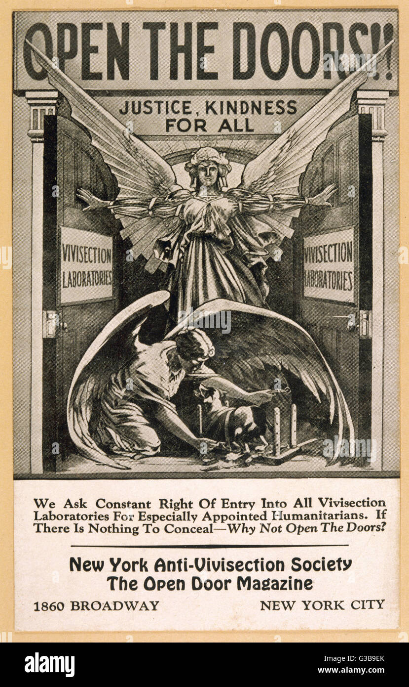 ANTI VIVISECTION POSTER Stock Photo - Alamy