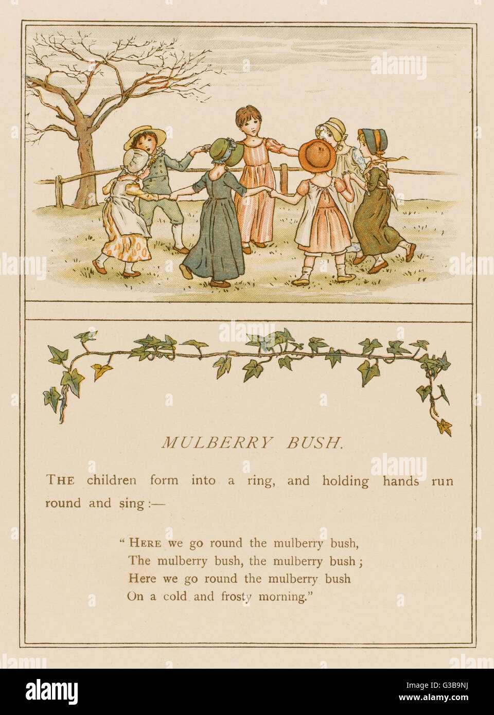 Mulberry bush hi-res stock photography and images - Alamy