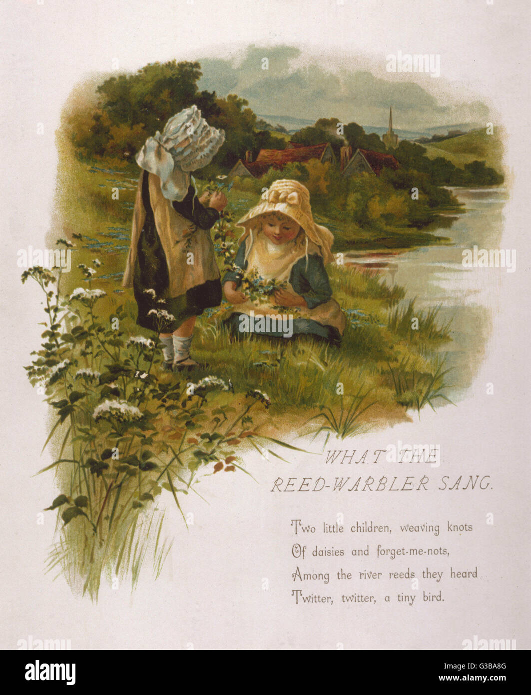 Game daisy hi-res stock photography and images - Alamy