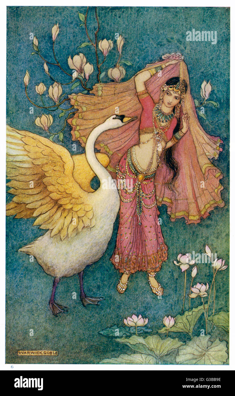 India swan hi-res stock photography and images - Alamy