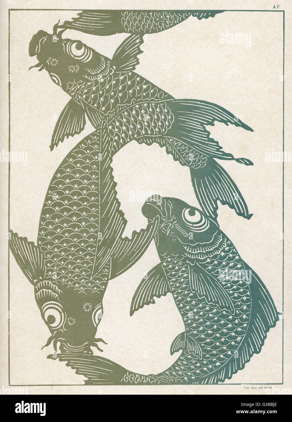 Carp turning hi-res stock photography and images - Alamy