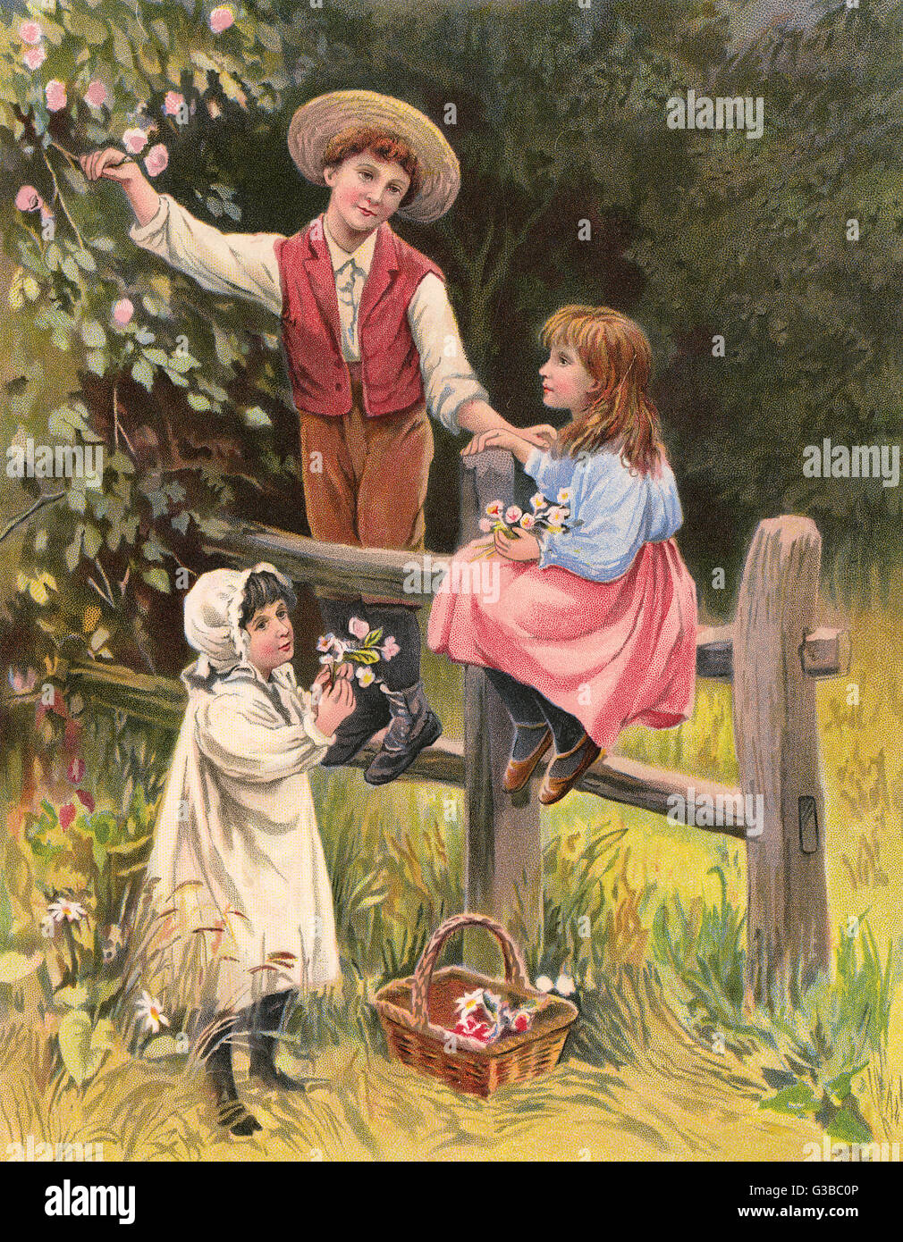 CHILDREN PICK FLOWERS Stock Photo - Alamy