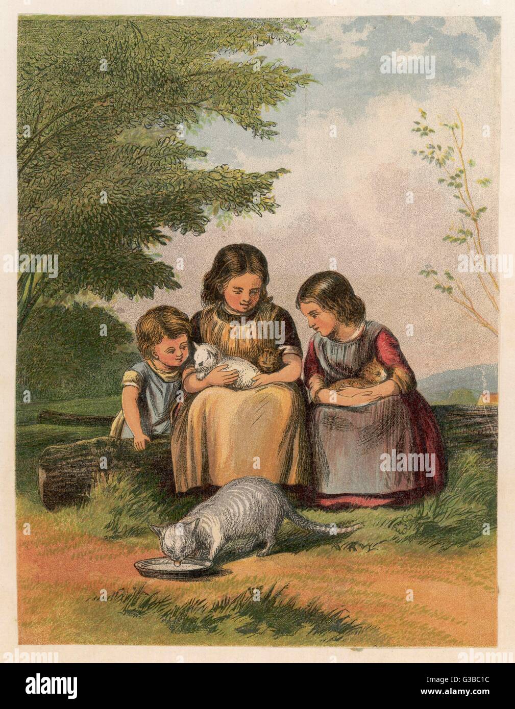 CHILDREN AND CATS 1850S Stock Photo - Alamy