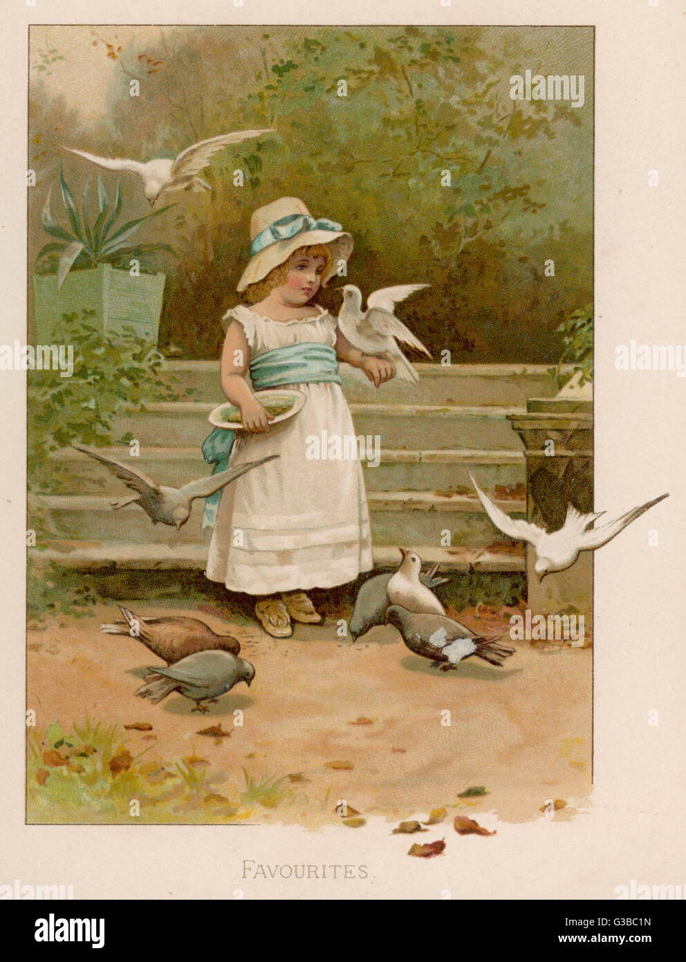 Girl birds hi-res stock photography and images - Alamy