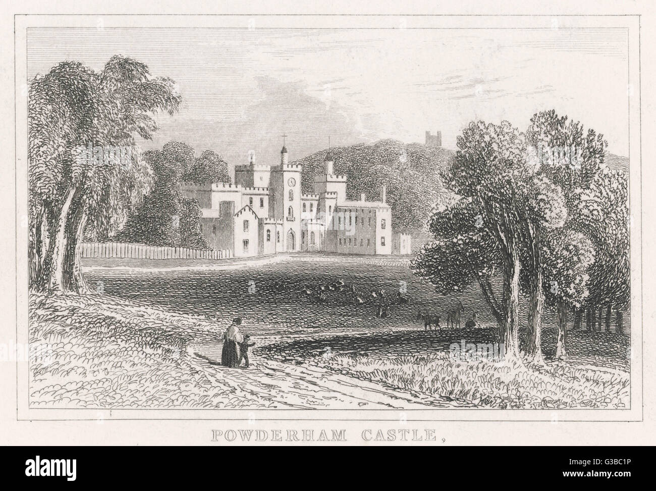 Deer powderham castle hi-res stock photography and images - Alamy